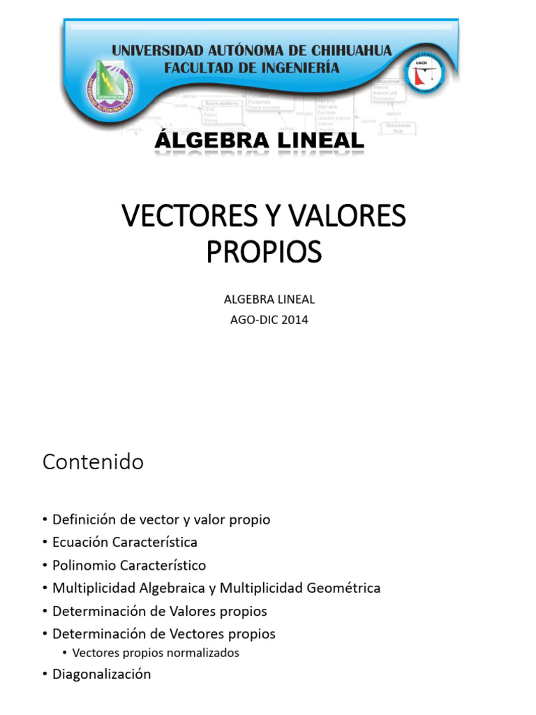 6 Vectores y Val | PDF | Valores propios y vectores propios | Vector Euclidiano