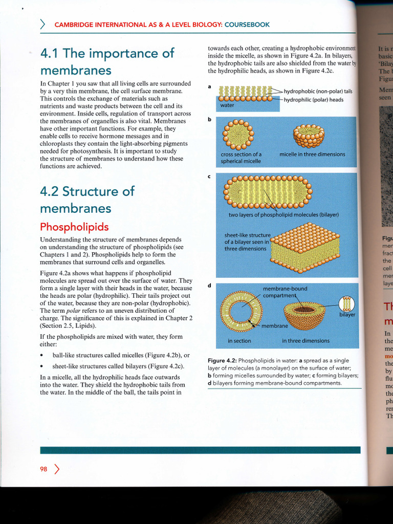 Cell membranes and transport cambridge a-level biology book | PDF ...