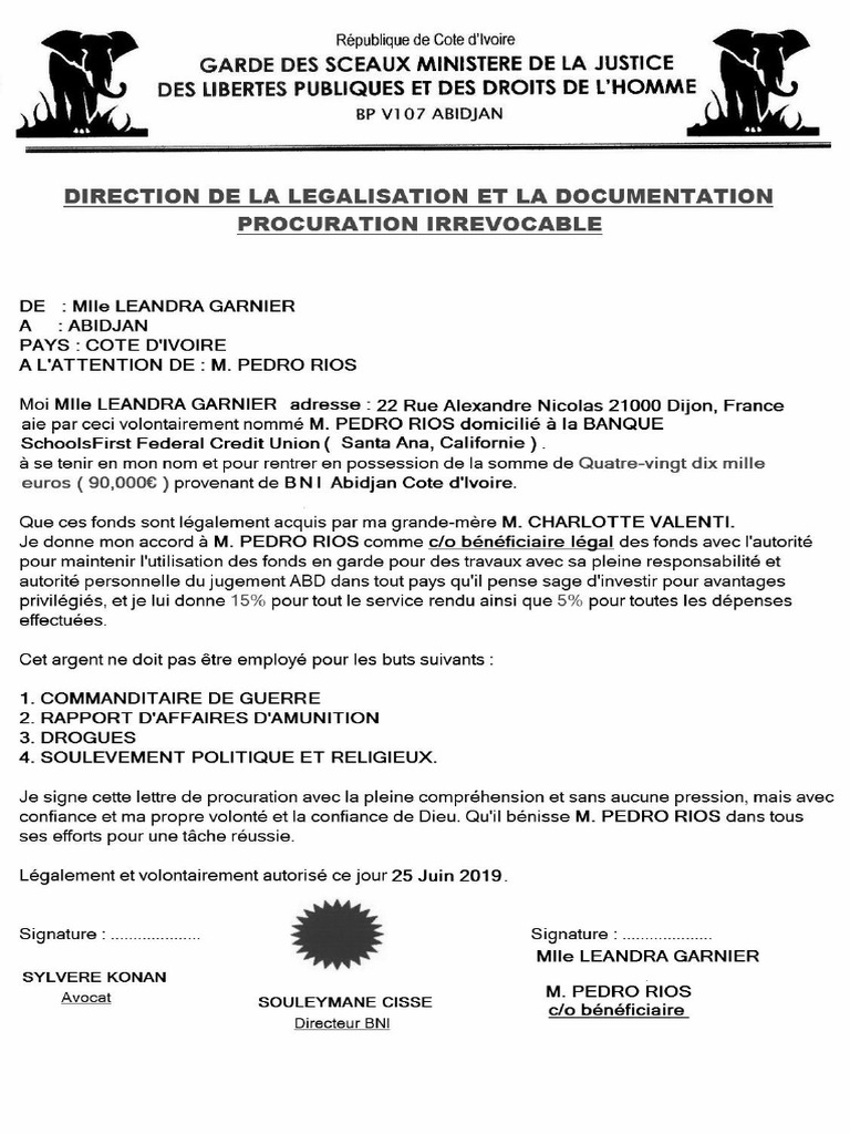 Procuration Irr Pd | PDF