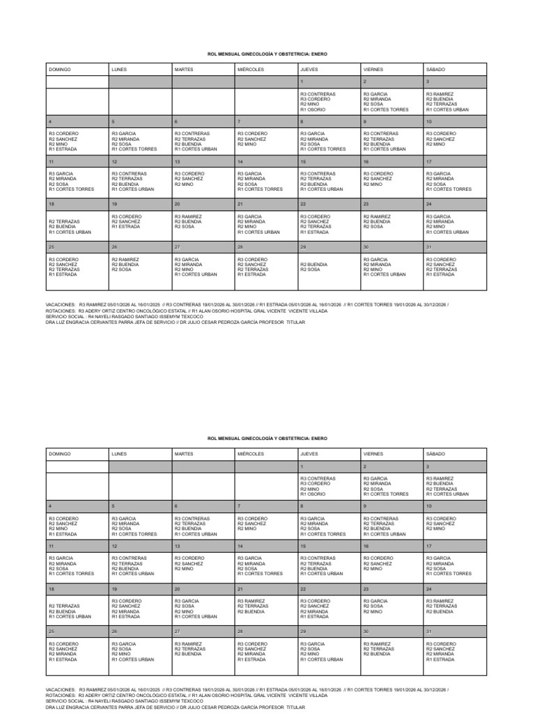 Rol Enero 2025 | PDF