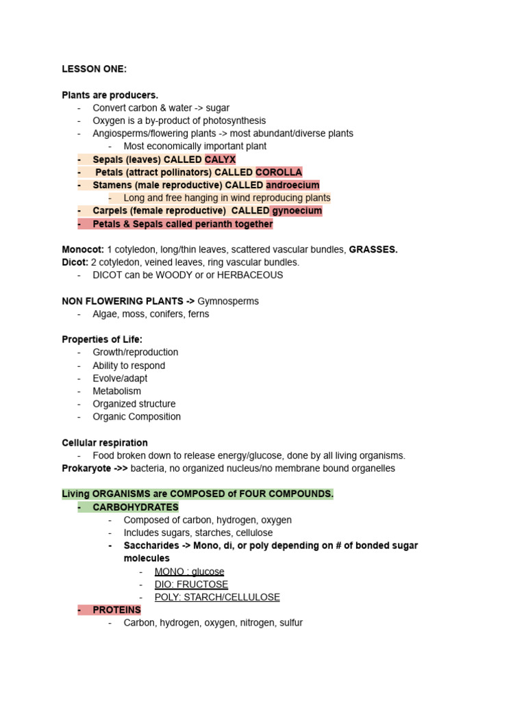 Science Study | PDF | Leaf | Fat