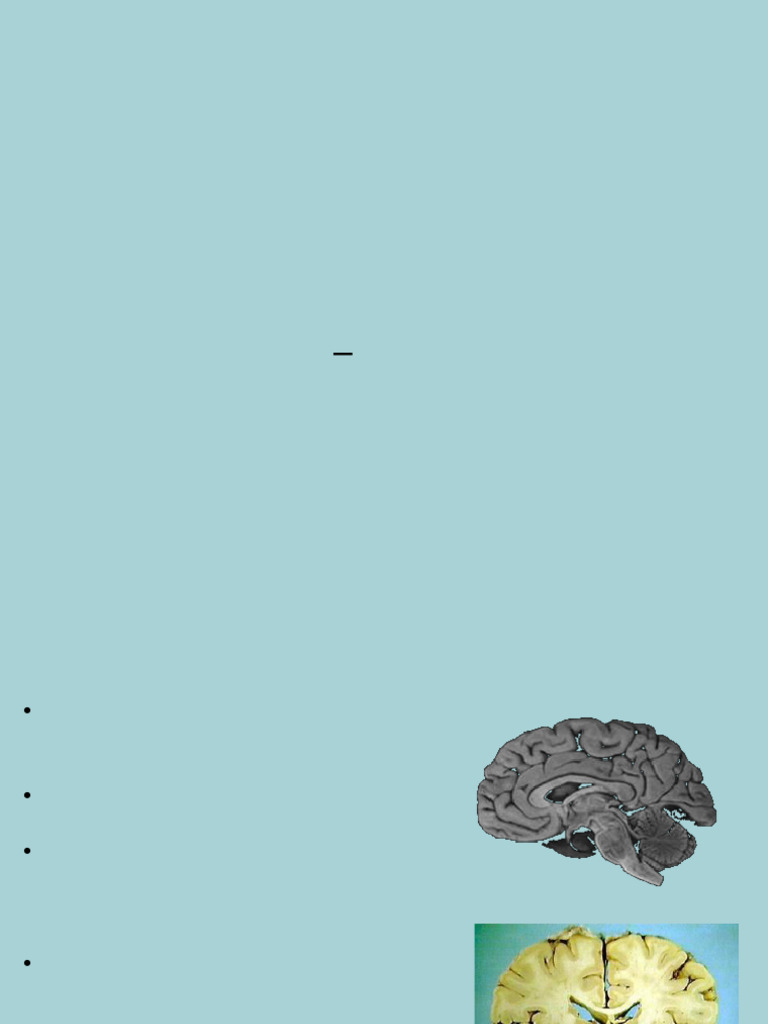 Neuro- Anatomy | PDF | Central Nervous System | Cerebral Cortex