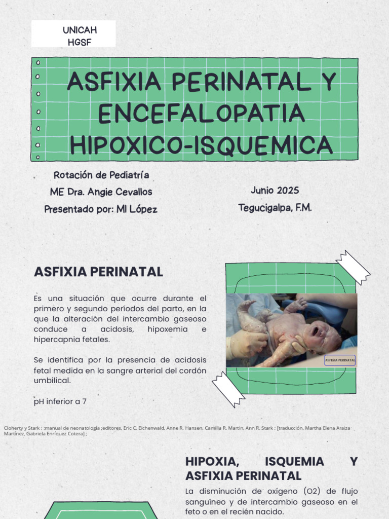 Asfixia Perinatal 250625 100233 | PDF | Placenta | Isquemia