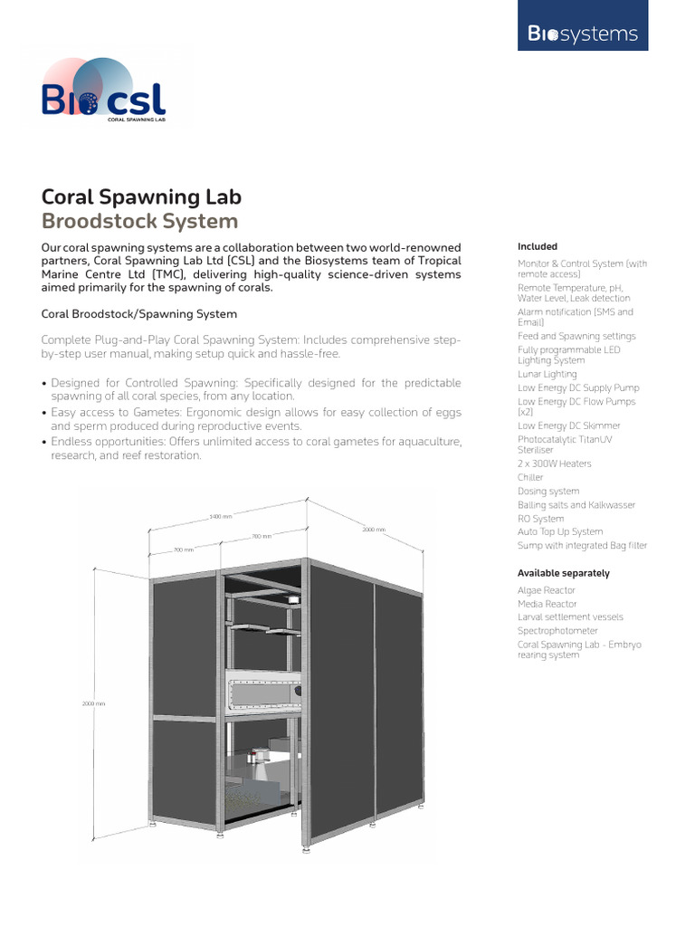 Coral Spawning Lab - Broodstock System | PDF | Coral | Biology