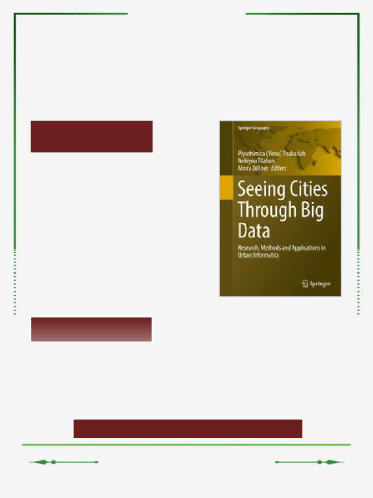 Seeing Cities Through Big Data: Research, Methods and Applications in Urban Informatics 1st ...