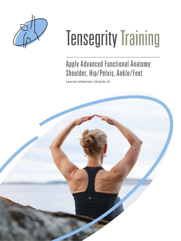 M10-ART19 Functional Anatomy Fin 24-05-14 | PDF | Axon | Motor Neuron