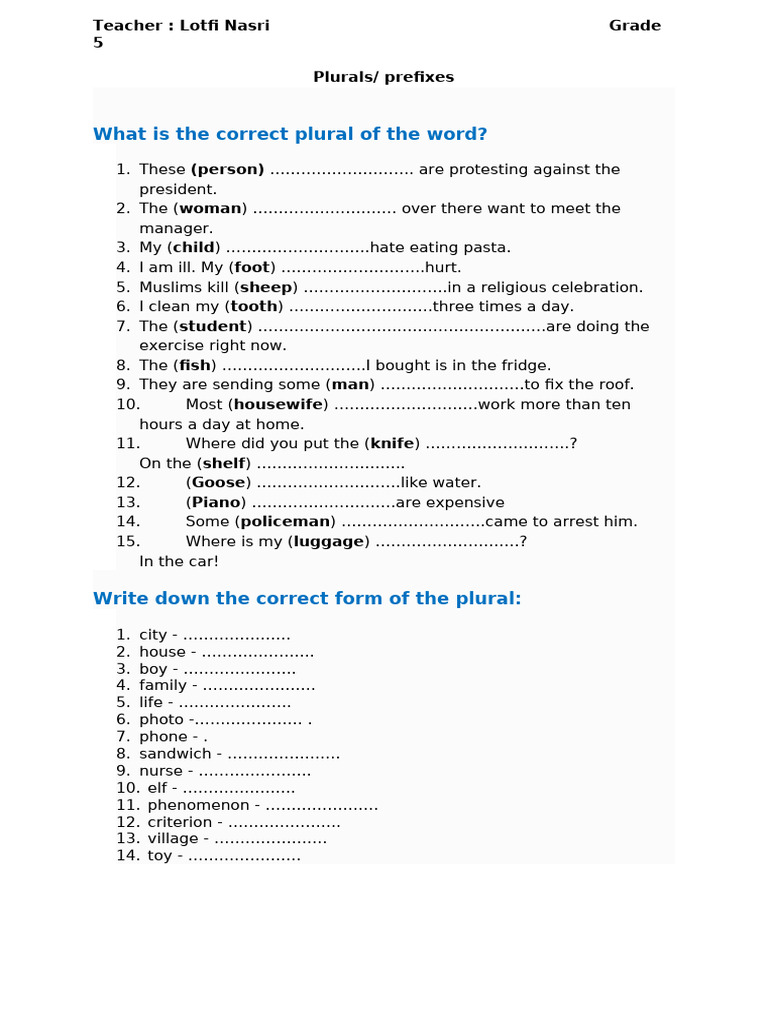 Plural Forms and Prefixes Worksheet | PDF
