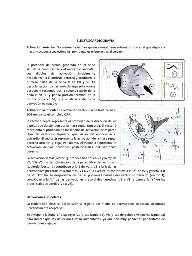 Resumen_capitulo_5_Cardiologa_Guadalajara_Boo_JF | PDF | Cardiología | Fisiología Cardiovascular