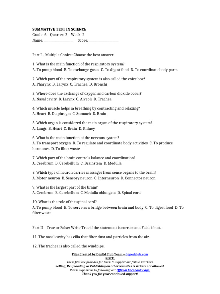 Grade 6 Science Summative Test | PDF | Respiratory System | Central ...