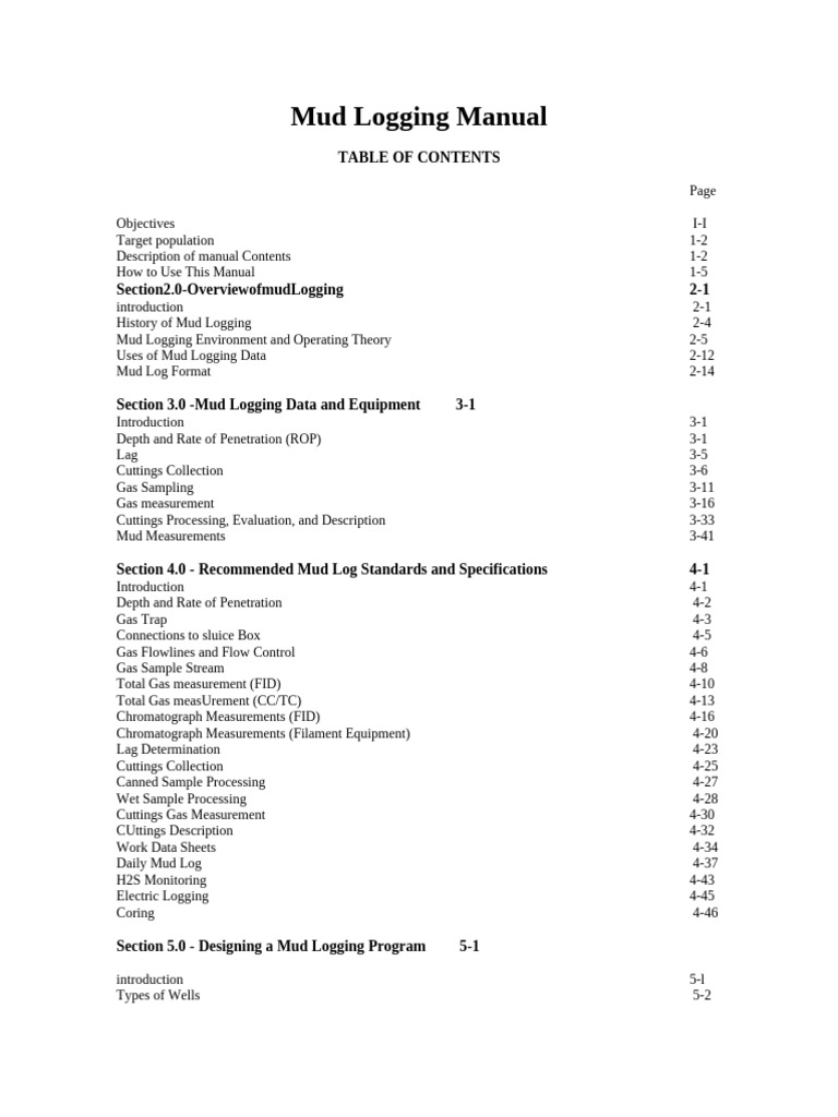 Mud Log Teor | PDF | Gas Chromatography | Combustion
