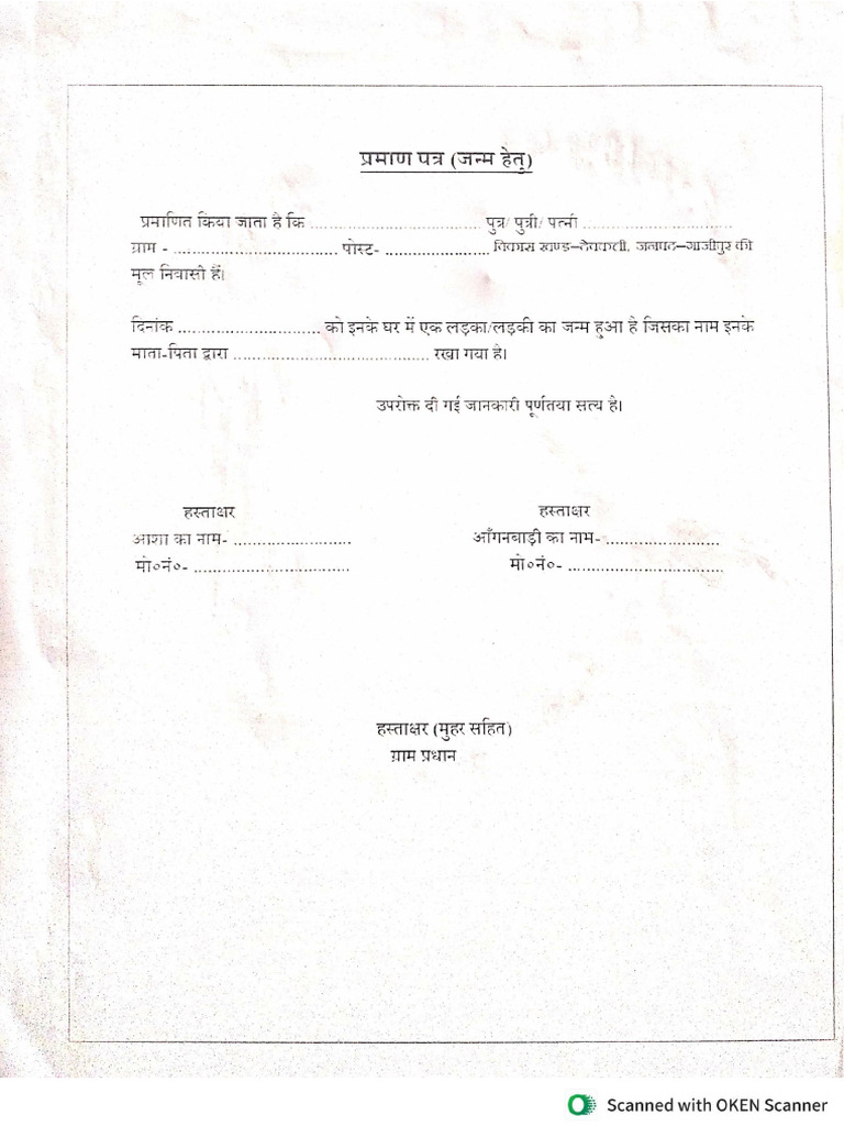 Birth Certificate Form | PDF