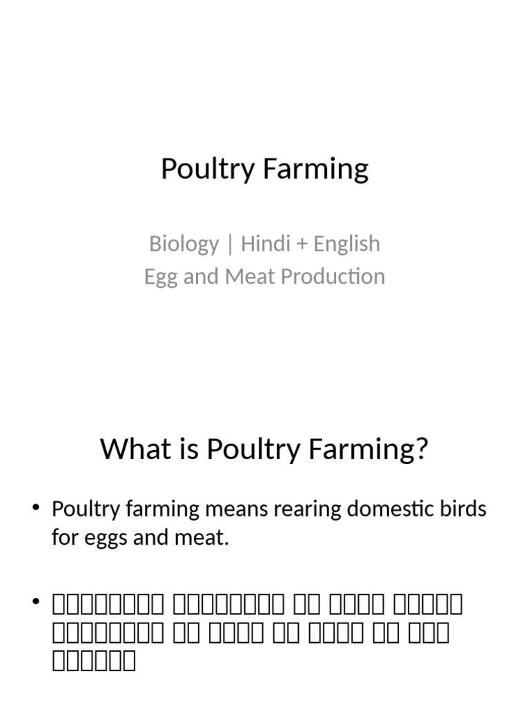 Poultry Farming Presentation | PDF