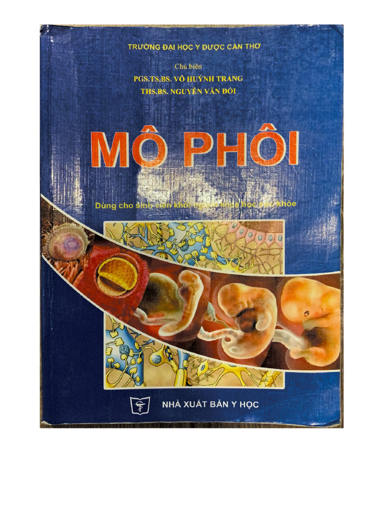 Ly Thuyet Bai Giang Mon Mo Phoi Dai Hoc y Duoc Can Tho 103042 (1) | PDF