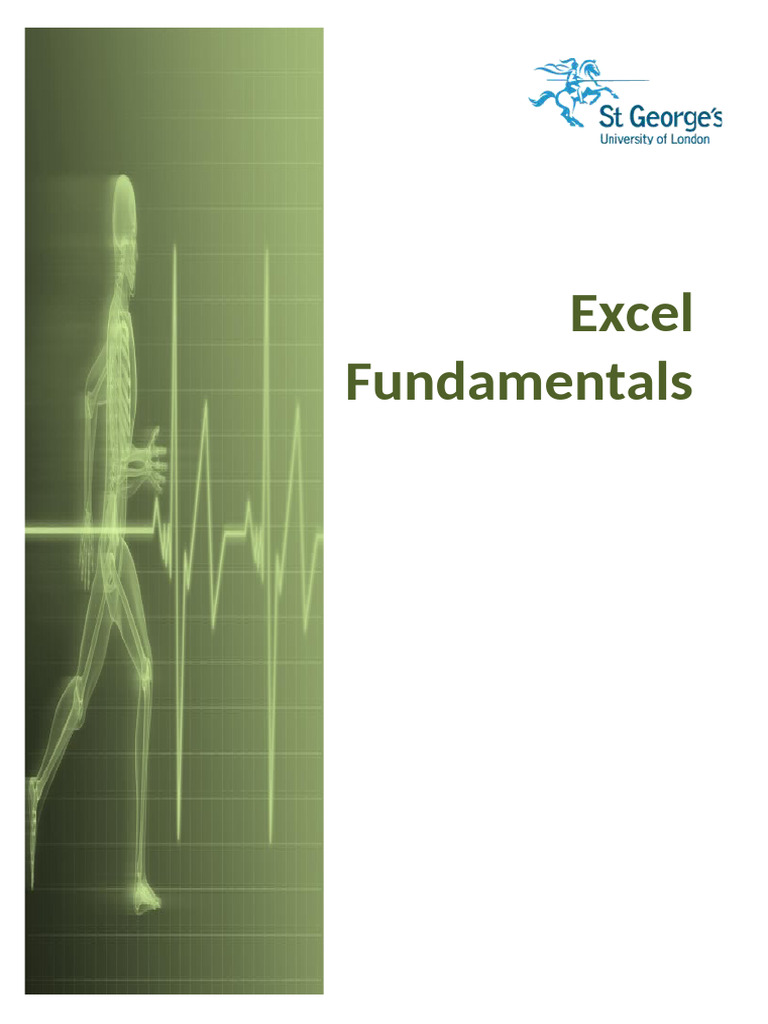 Excel Fundamentals Manual | PDF | Microsoft Excel | Worksheet