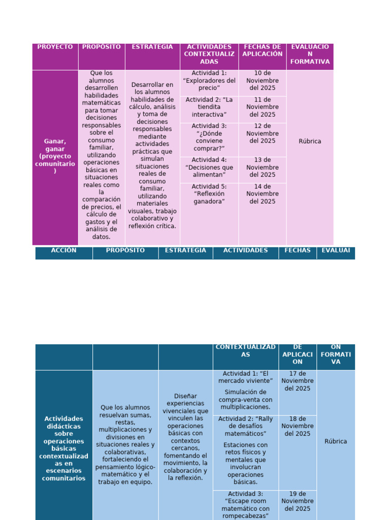 Proyectos y Actividades Rpmt | PDF