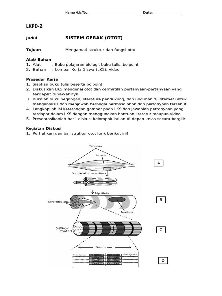 LKPD-2 Alat Gerak Aktif | PDF