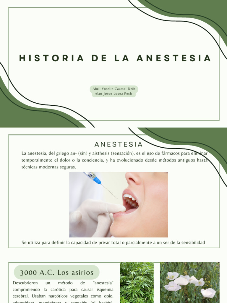 Presentación Diapositivas Proyecto de Negocios Orgánico Profesional ...