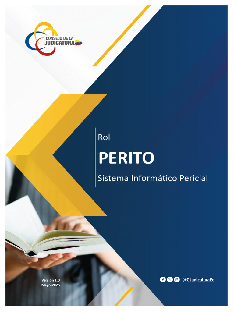 Rol Perito | PDF | Testigo experto | Contraseña