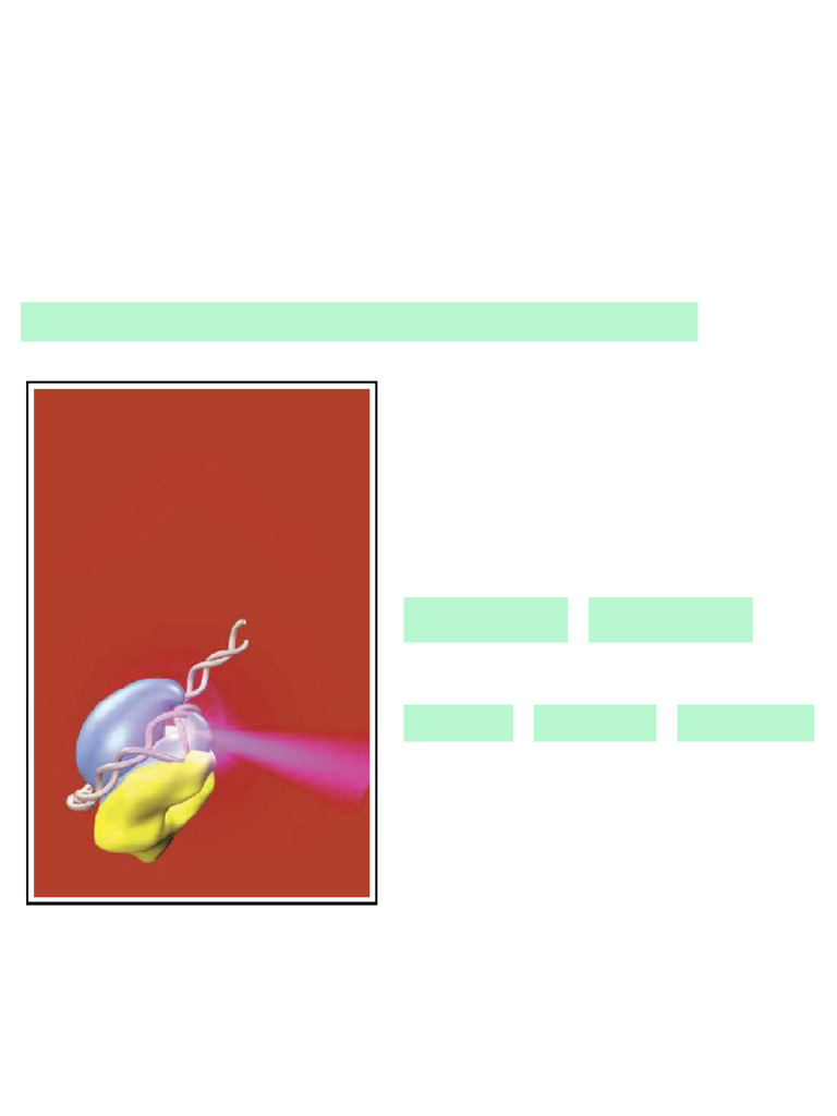 DNA Protein Interactions Principles and Protocols 2nd Edition. Edition ...