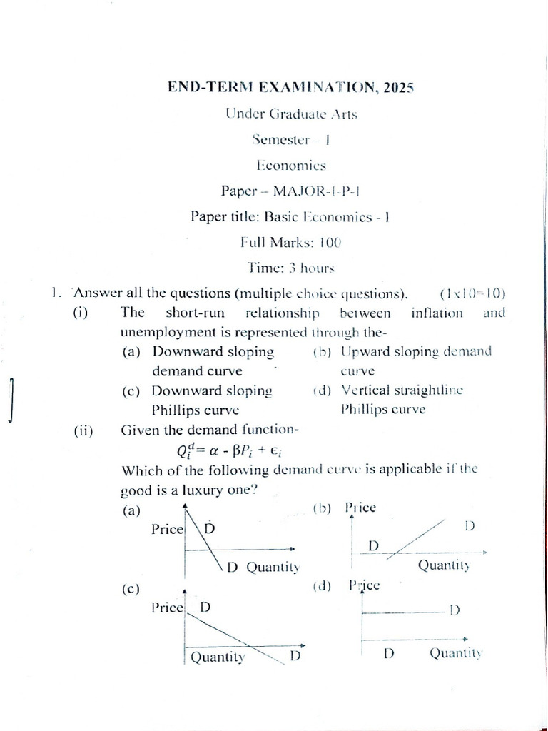 Major Paper 1 | PDF