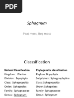 Moss Plant Structure and Observation Guide | PDF