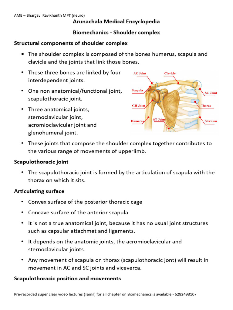 Biomechanics of the Shoulder Complex | PDF | Shoulder | Anatomical ...