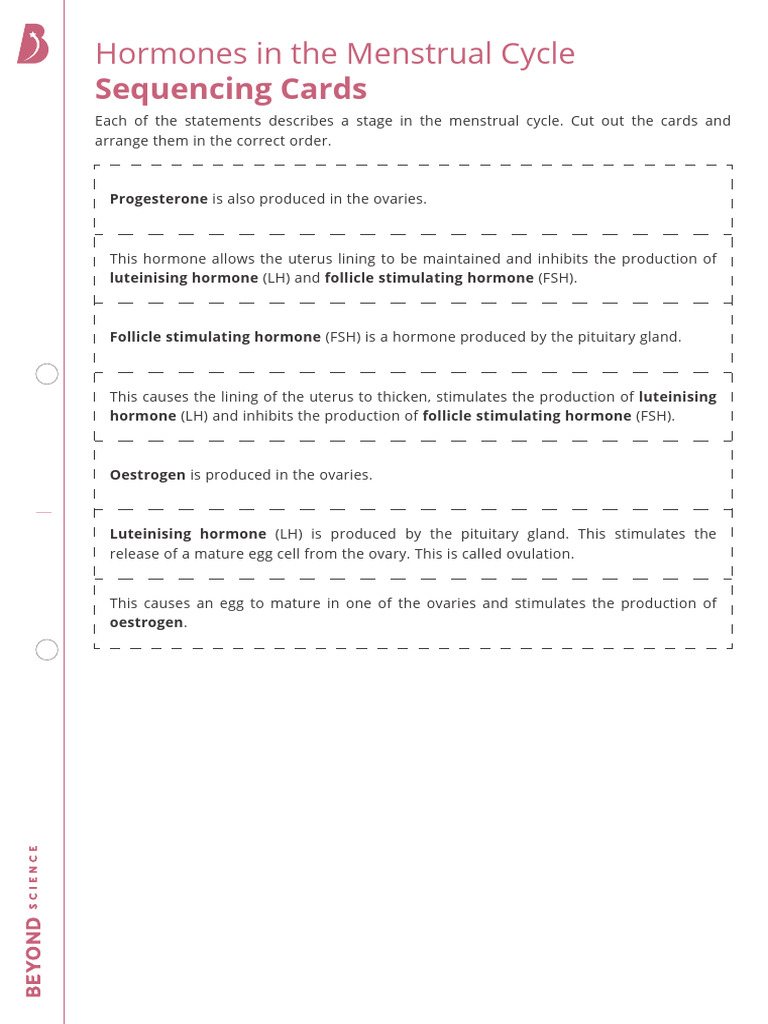 Hormones in The Menstrual Cycle Sequencing Cards | PDF