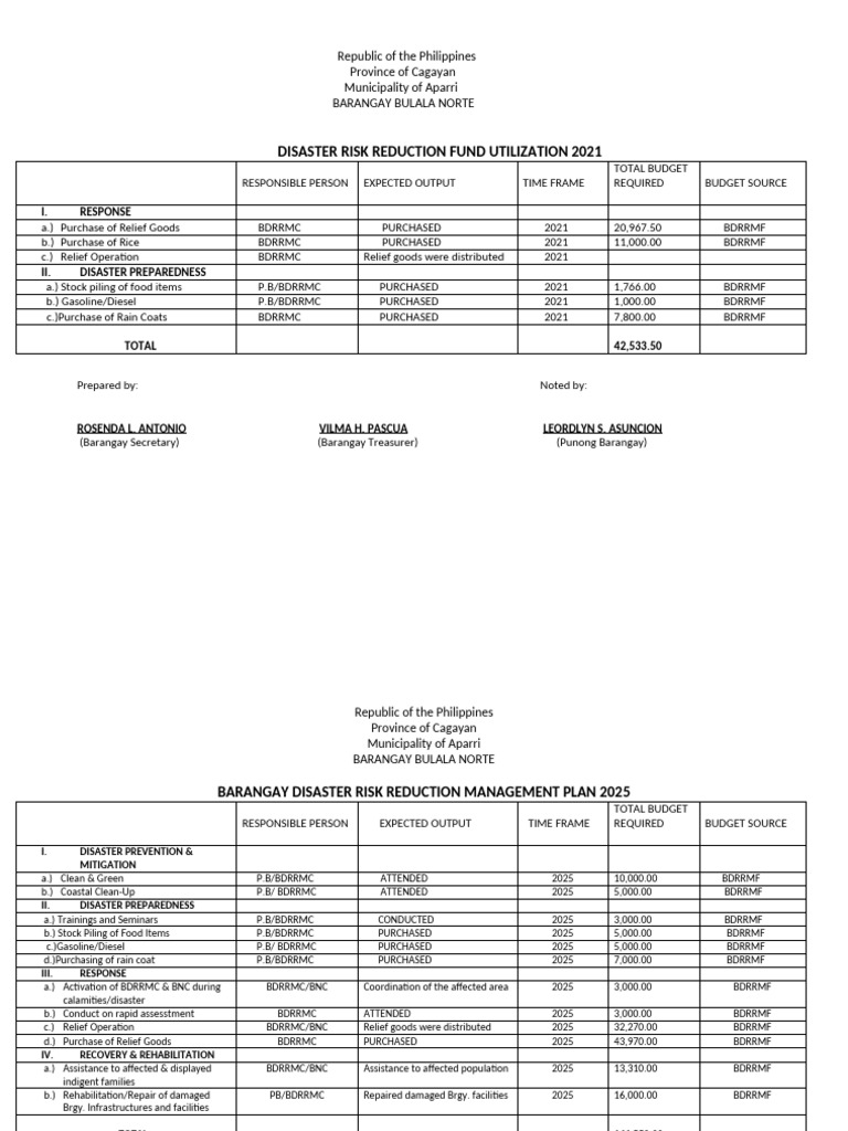 Barangay Disaster Risk Reduction Management Plan | PDF | Emergency ...