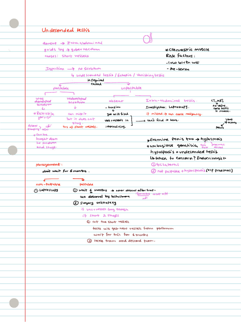 Undescended Testis: Causes and Management | PDF | Male Mammals | Human ...