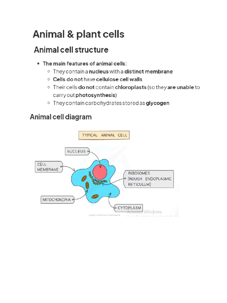 Cell Structure and Function | PDF