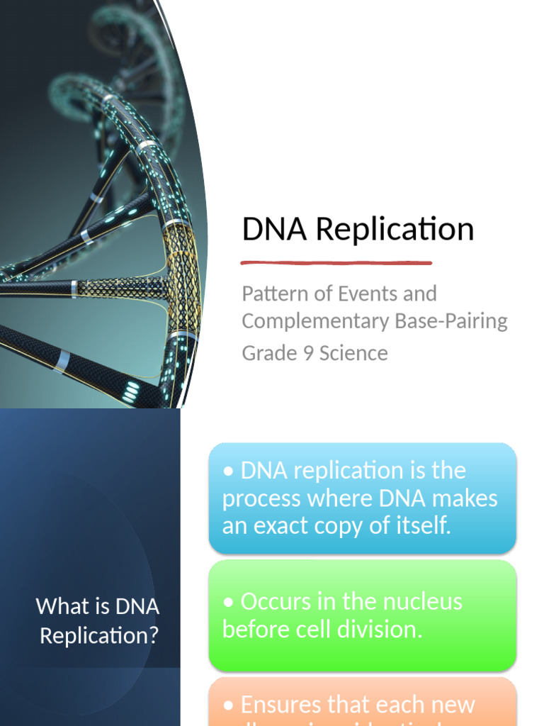 Understanding DNA Replication Process | PDF