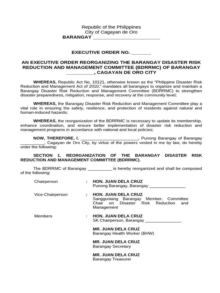 Reorganizing Barangay Disaster Committee | PDF | Disaster Risk ...