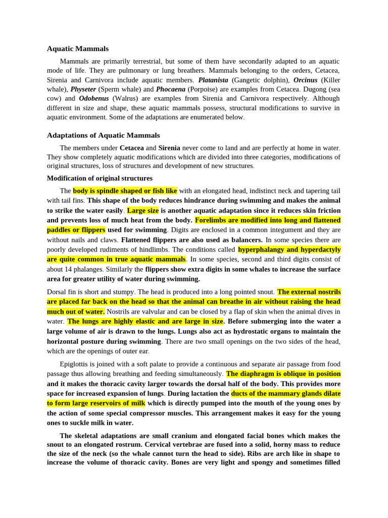 Adaptations of Aquatic Mammals | PDF | Whales | Dolphin