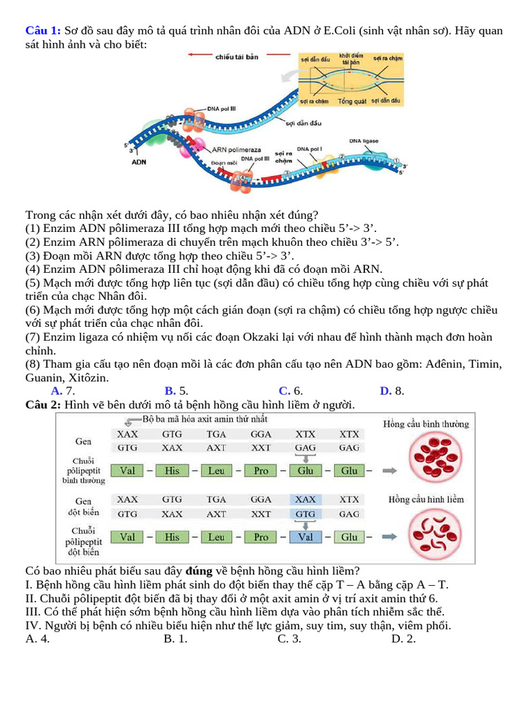 ĐỀ HSG 1 | PDF