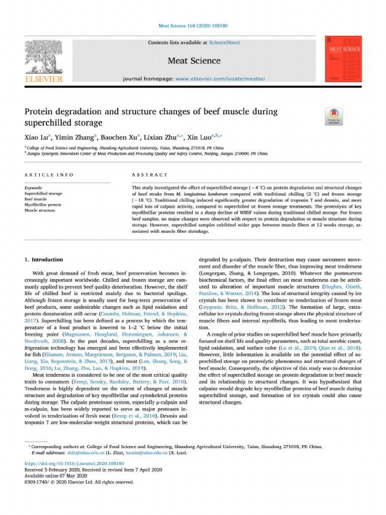 Protein Degradation and Structure Changes of Beef Muscle During ...
