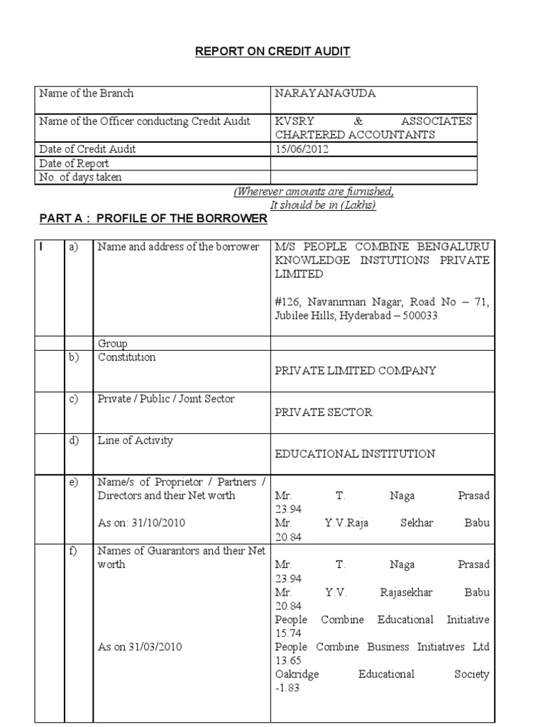 Credit Audit Format-people | Securities (Finance) | Credit (Finance)