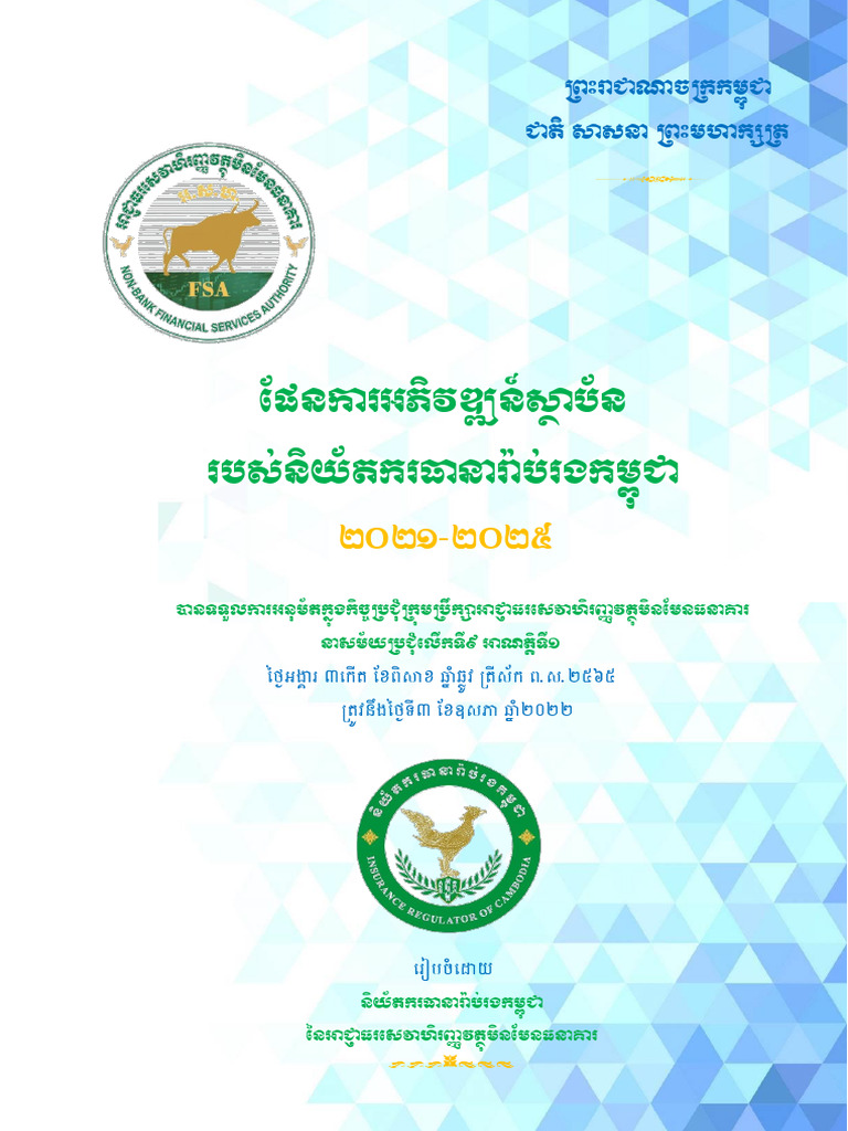 Idp Irc 2021 2025 (KH) | PDF