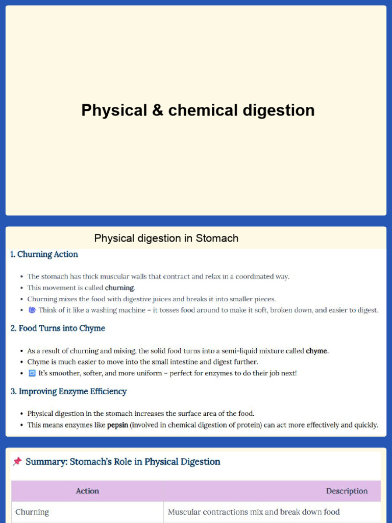 Physical & Chemical Digestion | PDF