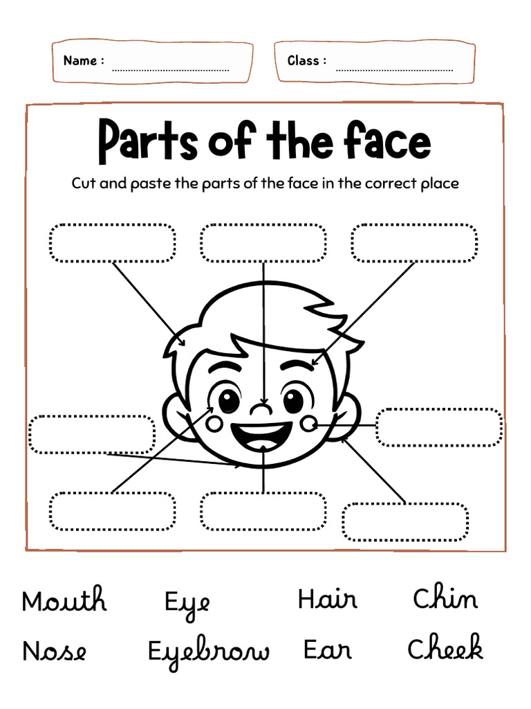 Match The Parts of Face Name Worksheet | PDF