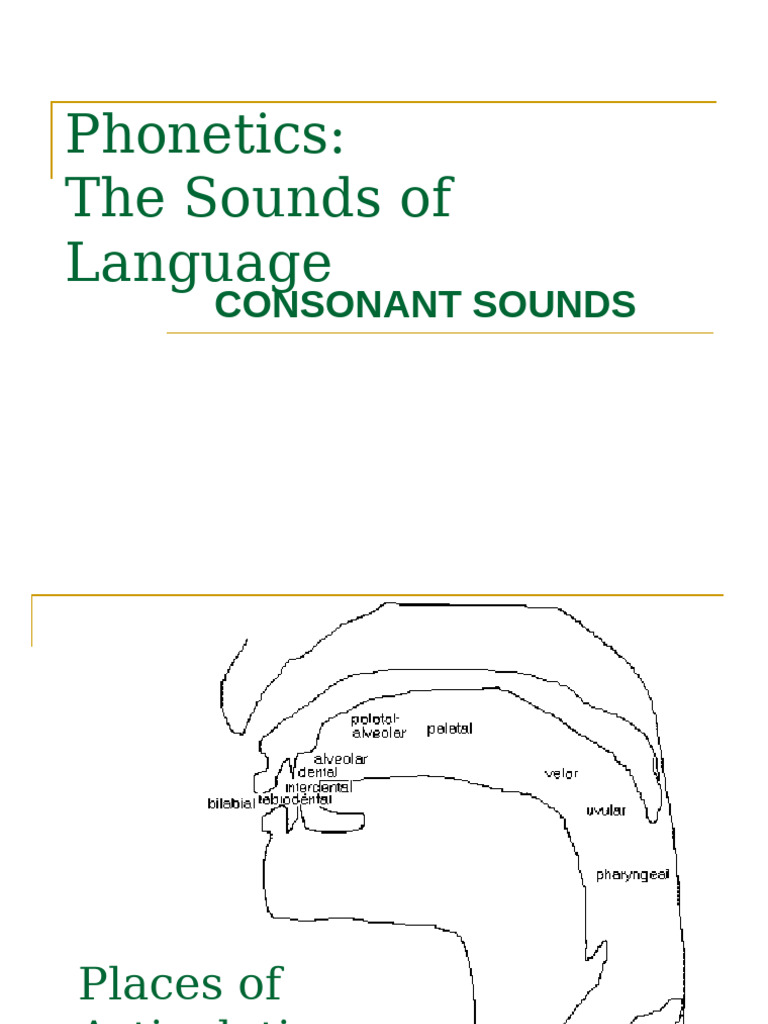 Understanding English Consonant Sounds | PDF | Phonetics | Human Voice