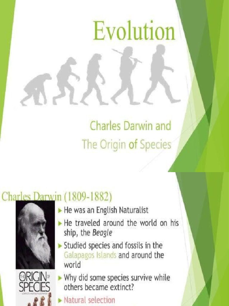 Evolution of Life 1 | PDF