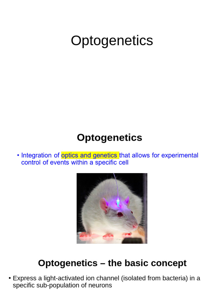 Optogenetics | PDF | Neuroscience | Biology