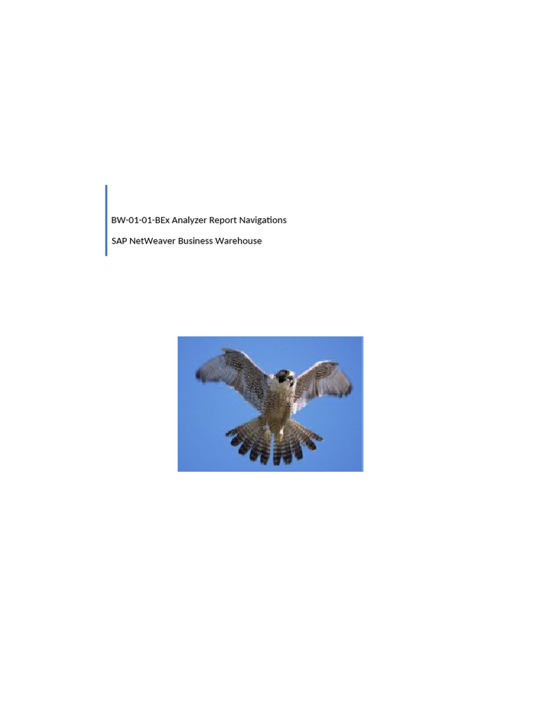 BEx Analyzer Report Navigations-V1.0 | PDF | Microsoft Excel | Computing