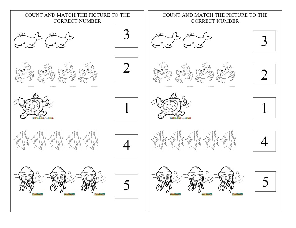 Count and Match Pictures to Numbers | PDF
