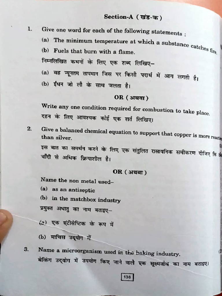 Sample Paper Class 8th | PDF