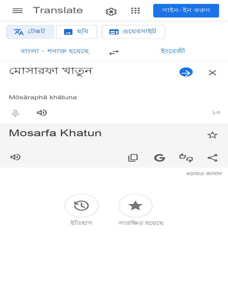 Google Translate | PDF