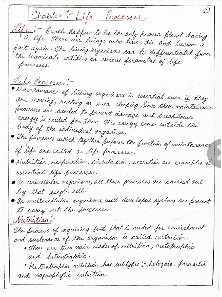 Life Processes Complete Notes 10th | PDF