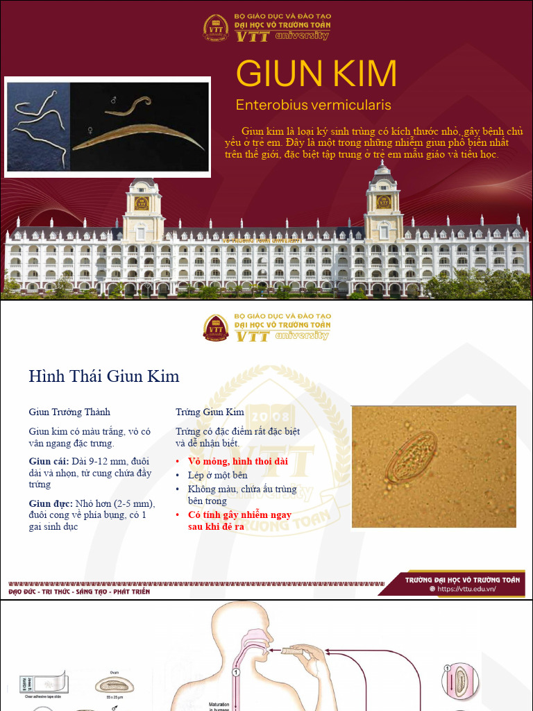 Giun Kim | PDF