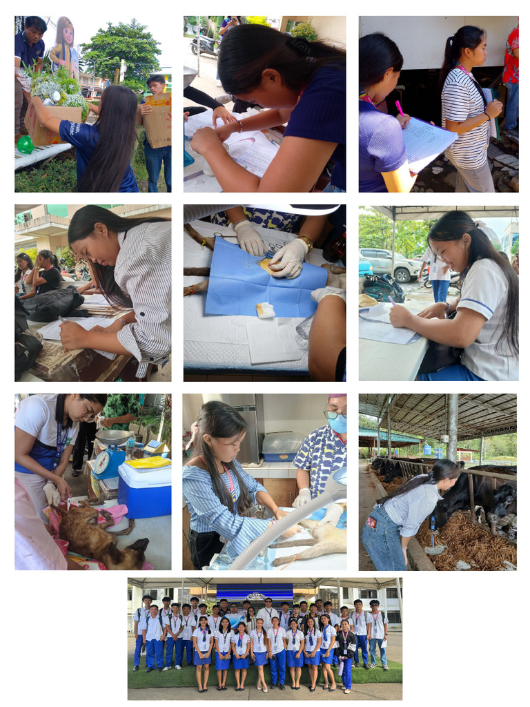 White Minimal Spider Frame Paper Document_20260117_233853_0000 | PDF