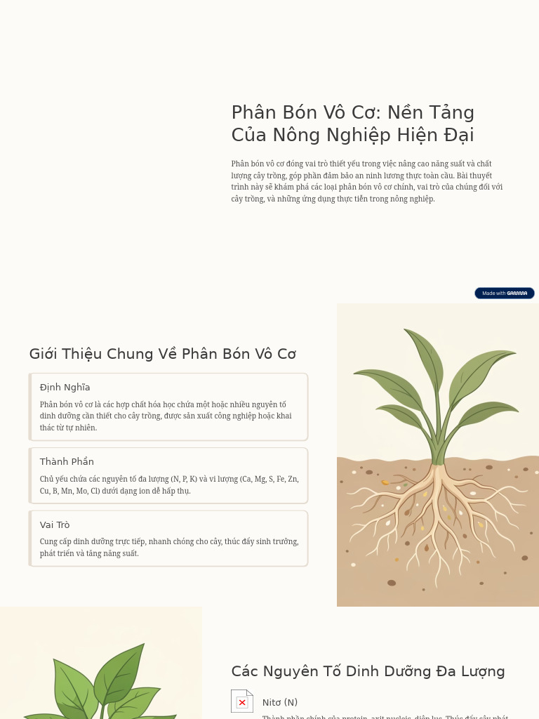 Phan Bon Vo Co Nen Tang Cua Nong Nghiep Hien DJai | PDF